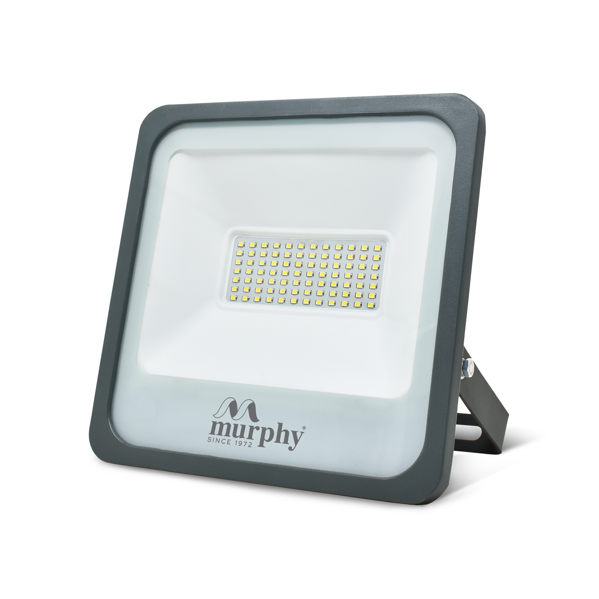 Premium Affordable GENXT Flood Light – Lighting Online | Murphy ...
