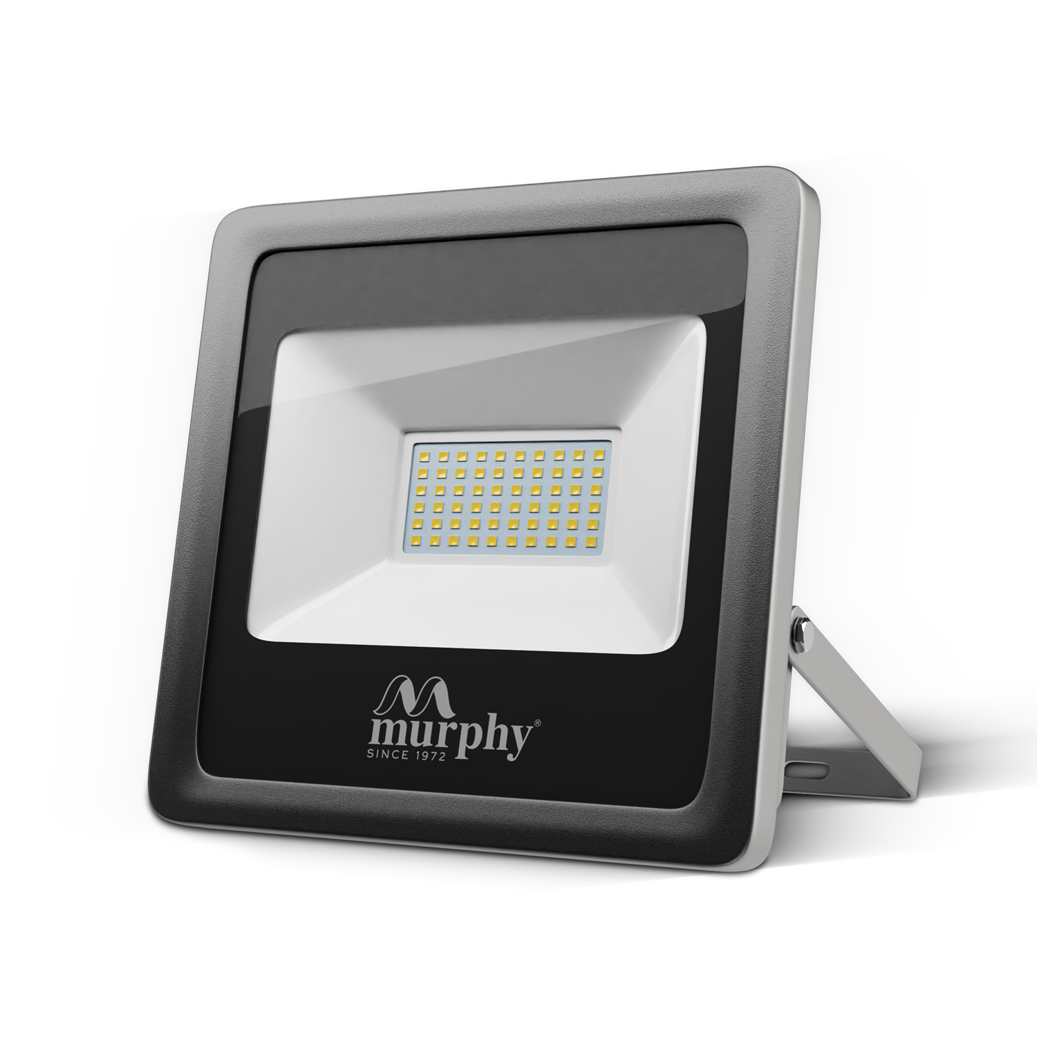 LED Flood Light