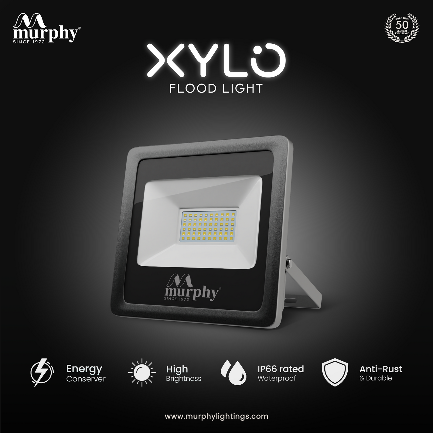 Buy 100W LED Flood Light with Auto On/Off Driver Online – Murphy Lightings